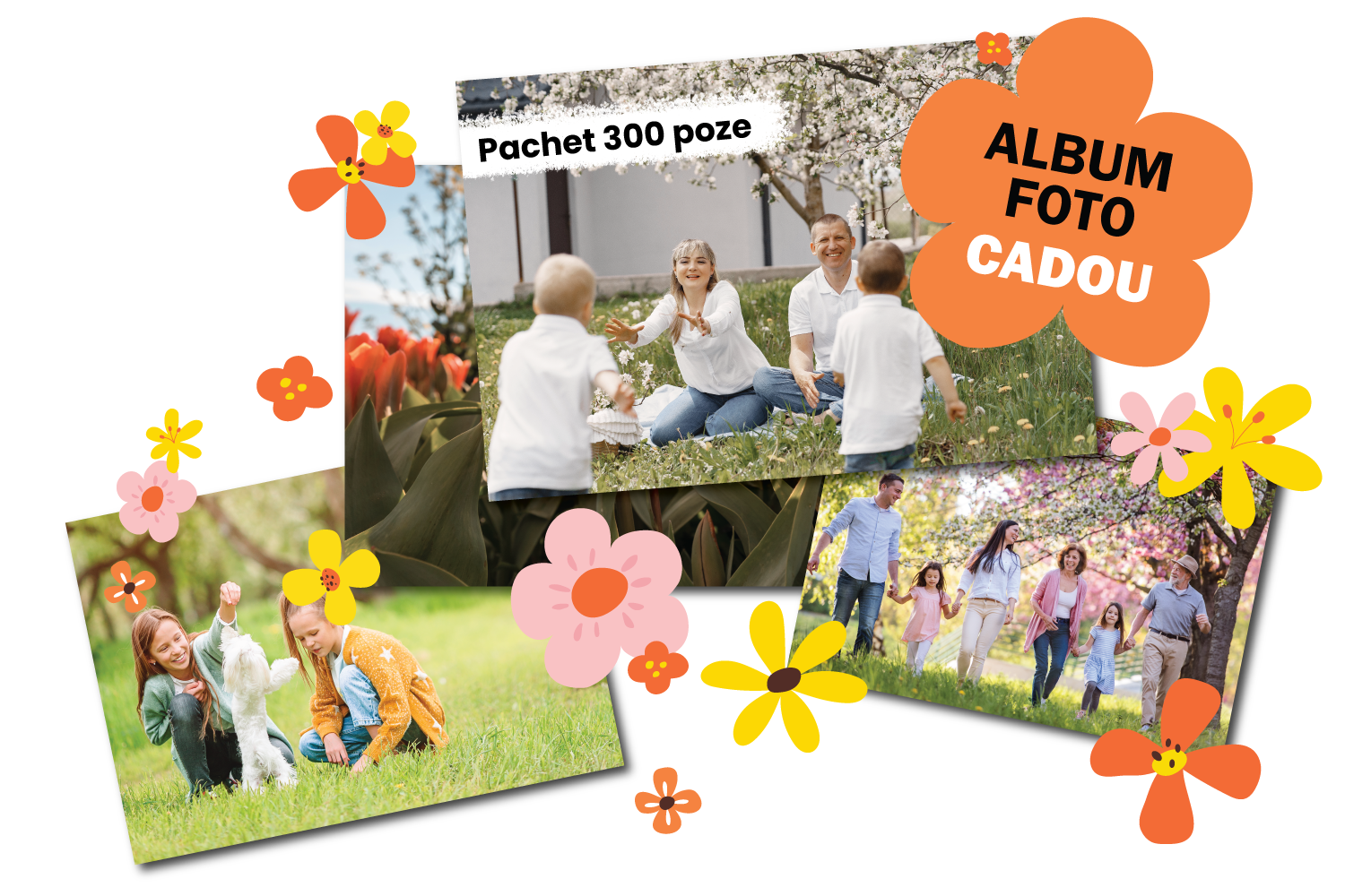 Office Plus Center - Servicii profesionale de printare poze